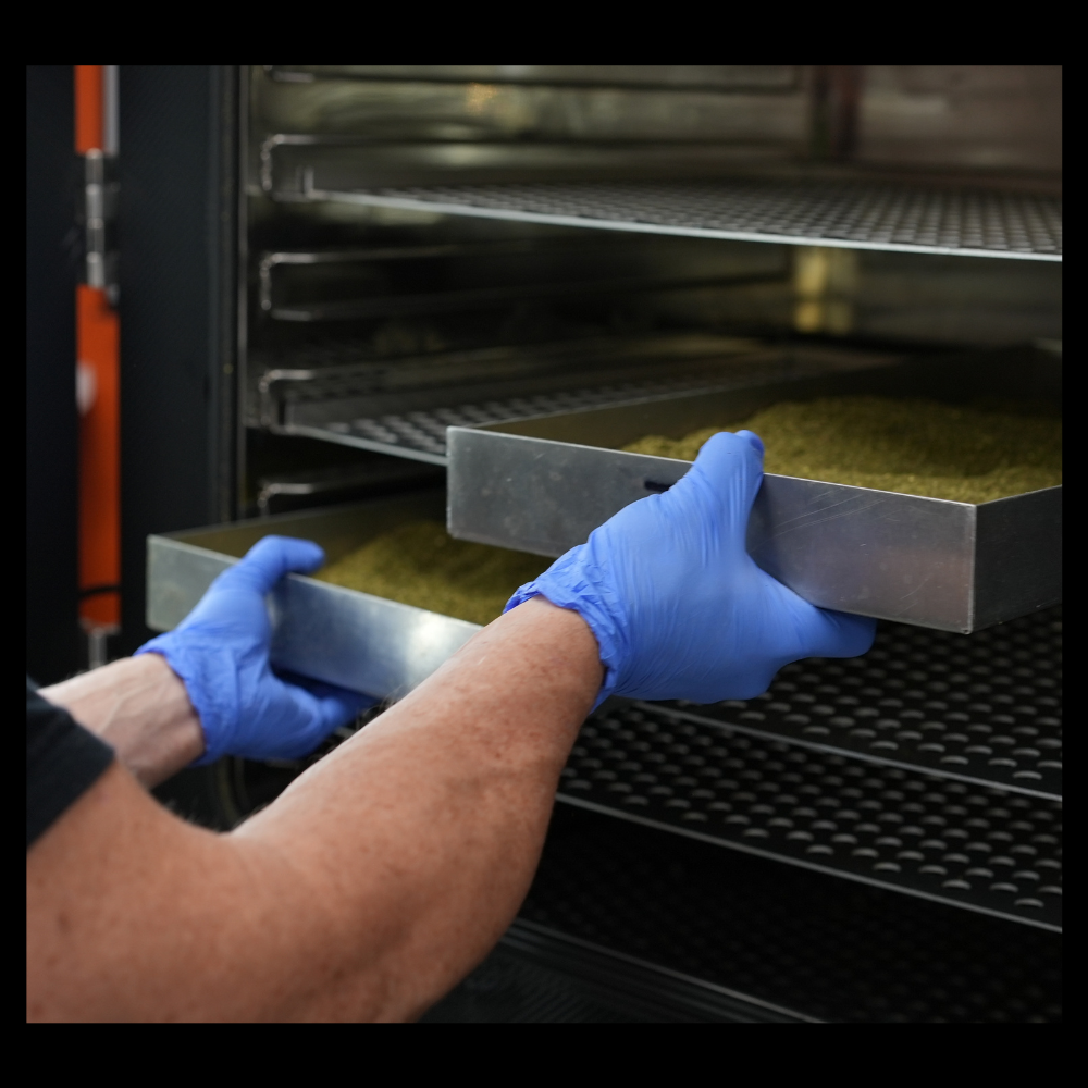 Terp It - Simplifying Terpene Infusion for Scalable Success