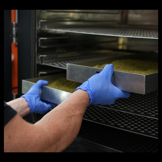 Terp It - Simplifying Terpene Infusion for Scalable Success